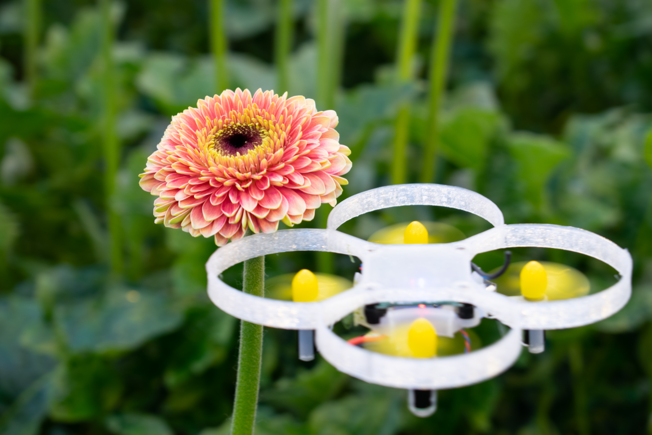 Pilot to control insects in greenhouses with drones · RoboHouse