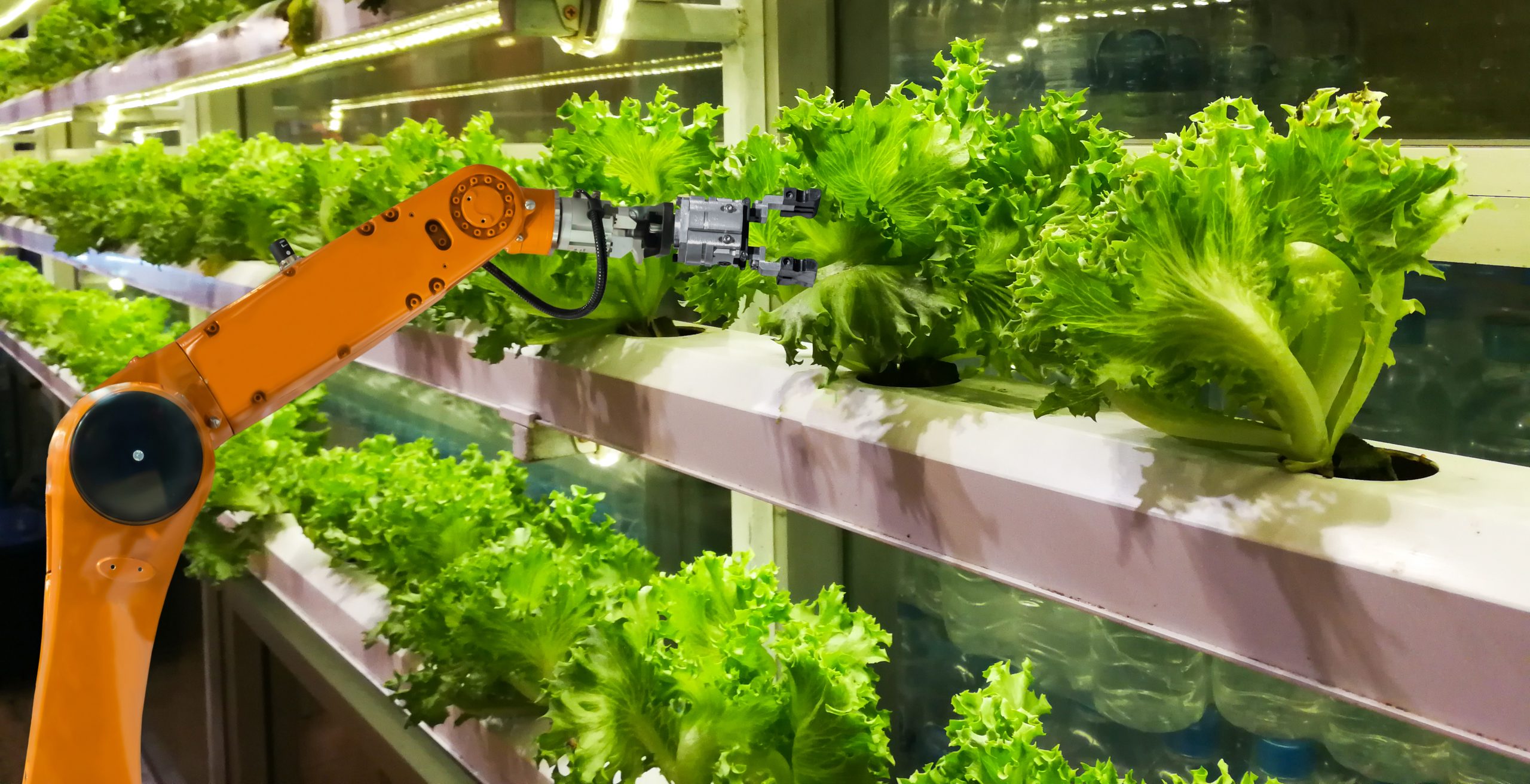 RoboCrops - Accelerating robotics in horticulture · RoboHouse